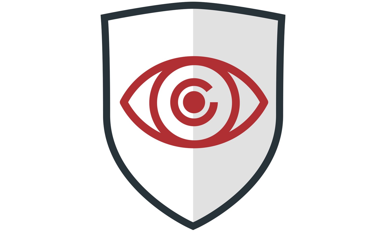 Lighthouse Security Solutions | Local Security, Global Innovation.